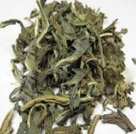 Da Qing Ye 大青葉 Folium Isatidis - Bodycrafters